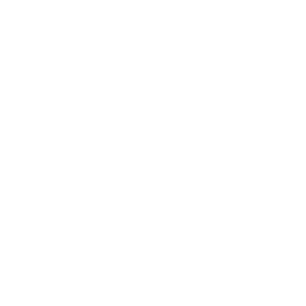 Payment Options - Village Capital & Investment LLC
